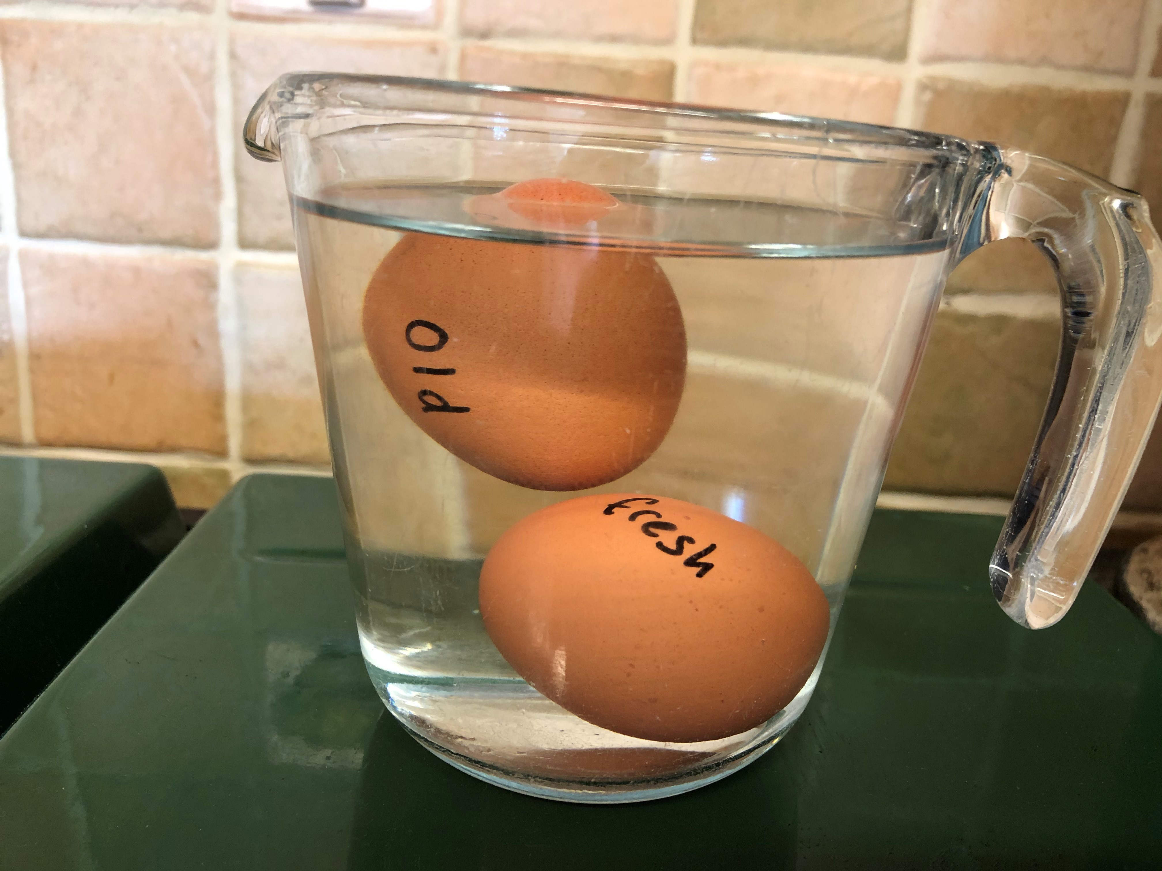 Testing Eggs For Freshness – Pesky Recipes