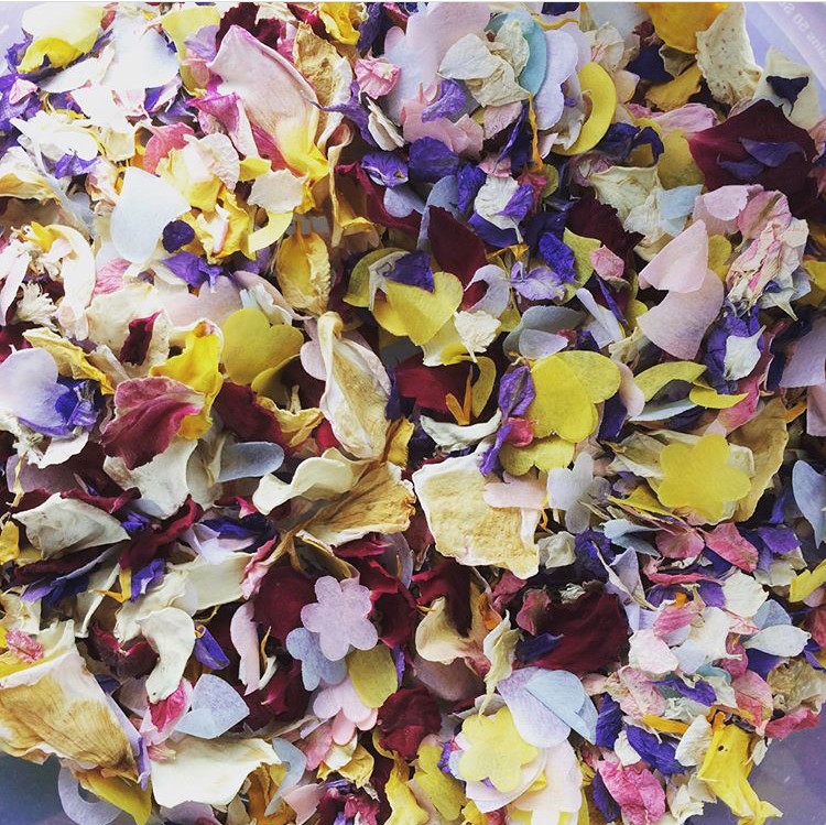 Homemade Biodegradable Confetti – Pesky Recipes
