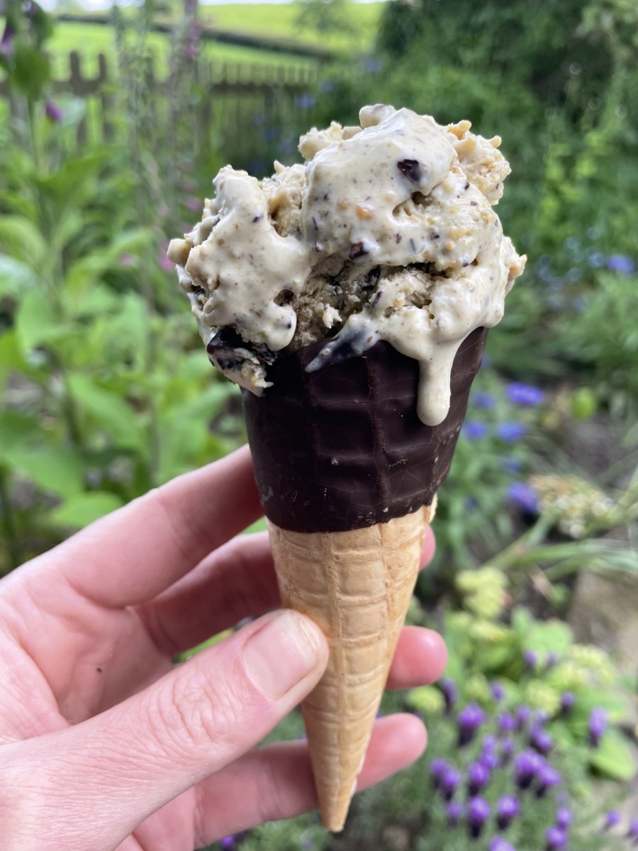 Pistachio and Dark Chocolate Ice Cream – Pesky Recipes